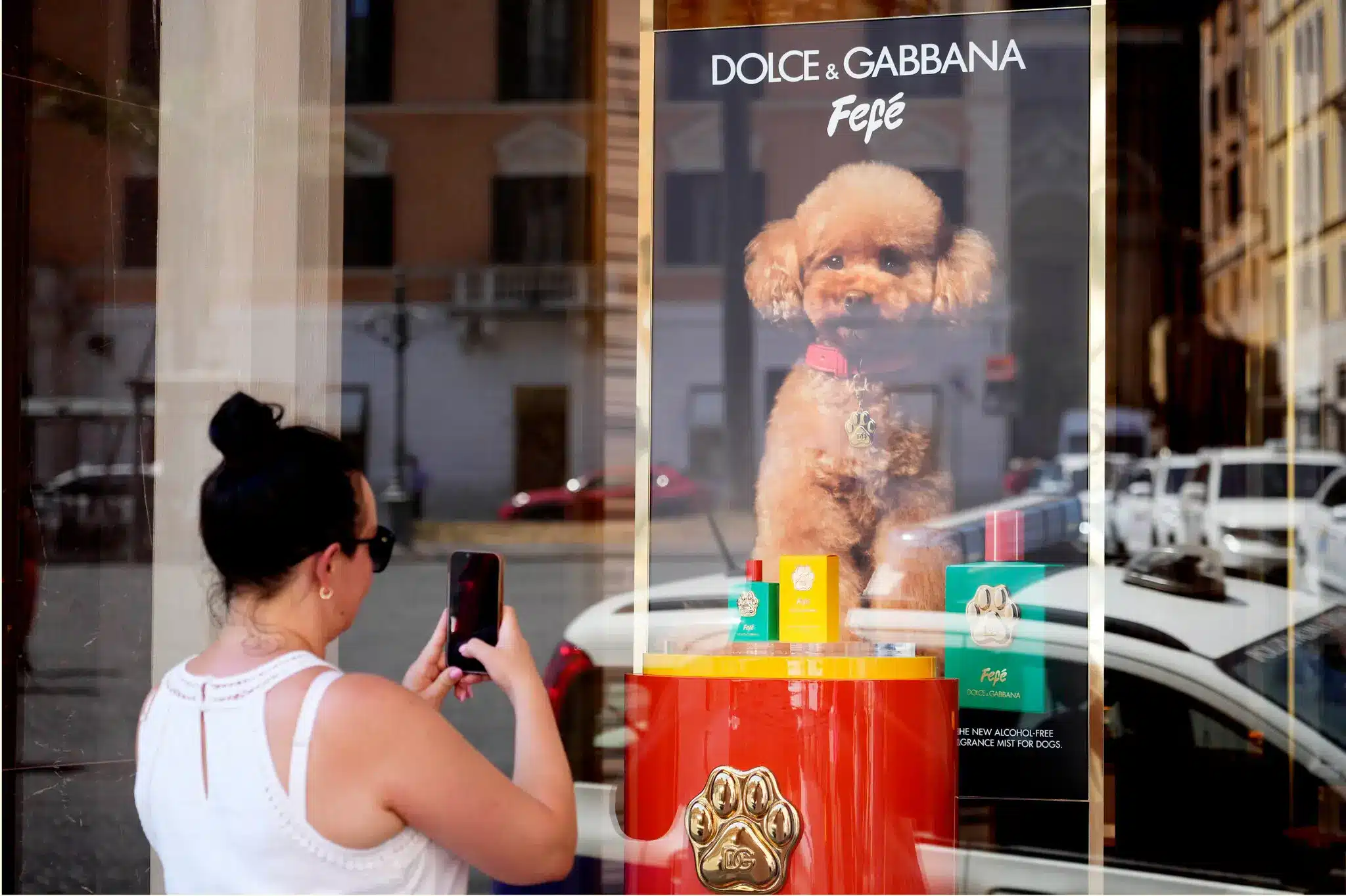 Dolce & Gabbana ra mắt nước hoa dành cho chó có giá hơn 2,7 triệu đồng ...